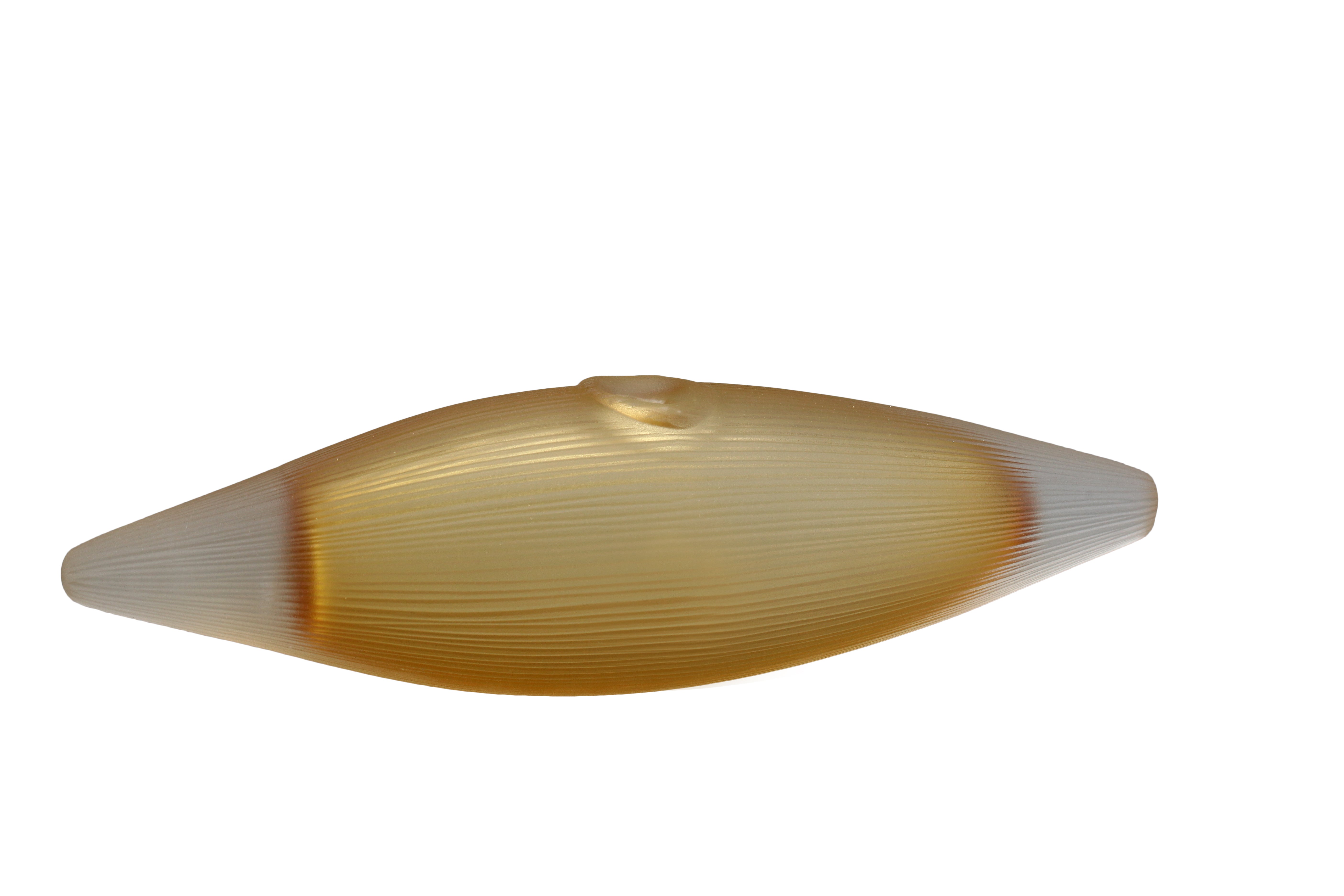 7317 – VIZ Glass Inc.